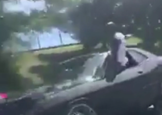 Man arrested after hanging out window while driving | wtsp.com