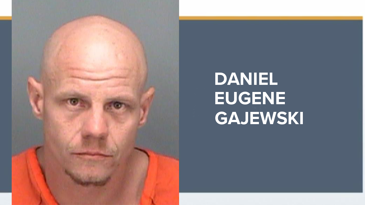 Porch pirate pinched! Man accused of stealing from Pinellas Park porch ...